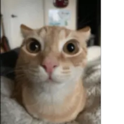 Fart - Paper Plugin | Hangar